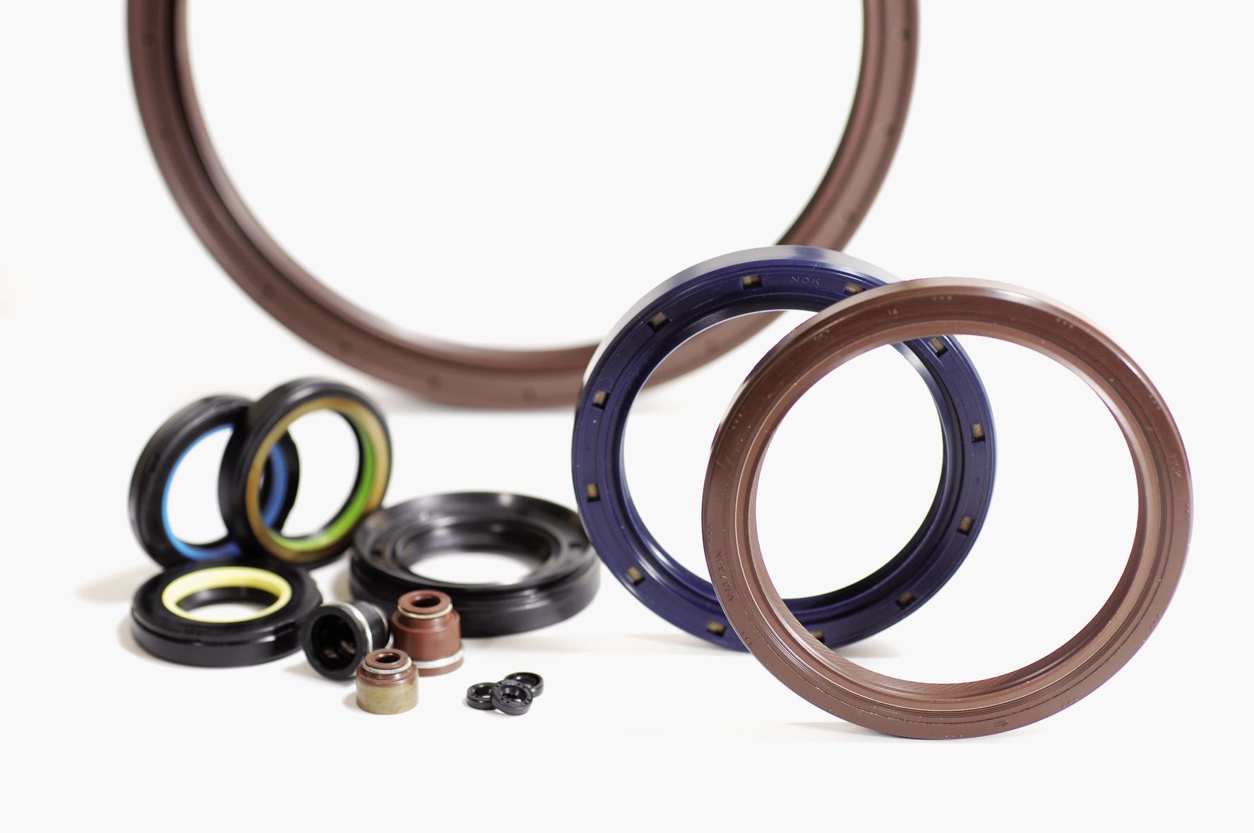 25IS紹介ページ（1Day）